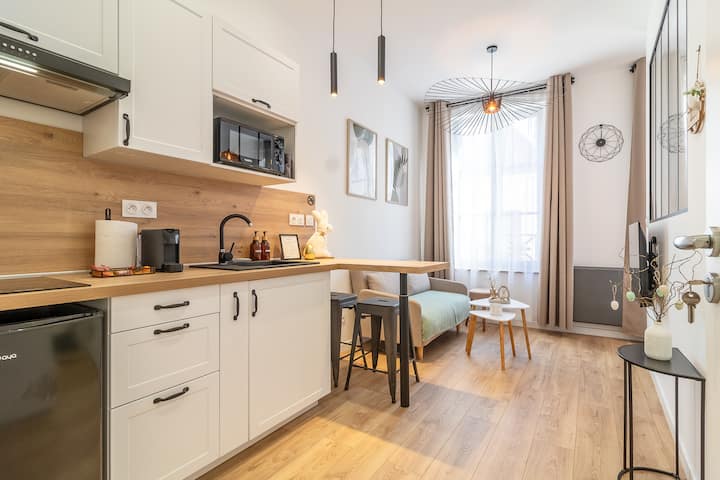 Studio 101 Cosy Neuf Hyper Centre - Saint Aignan