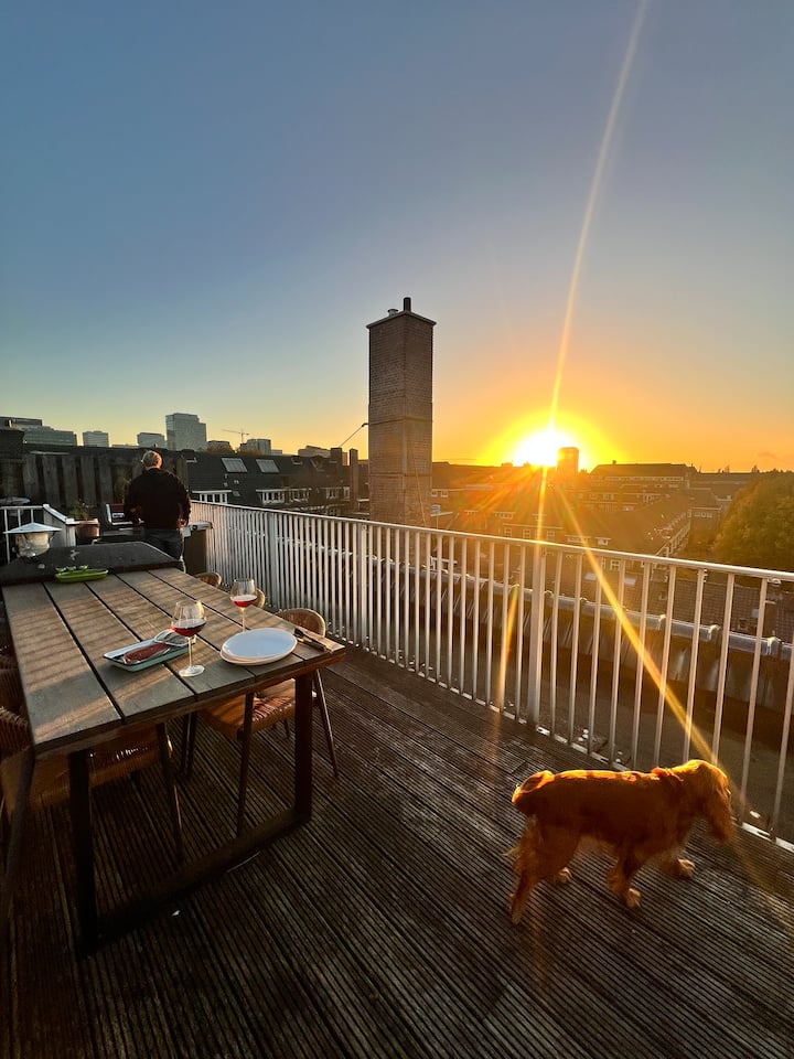 Spacious & Peaceful With Rooftop - Amsterdam