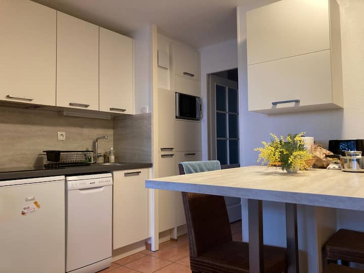 Bel Appartement Dans La Pinede - Lacanau