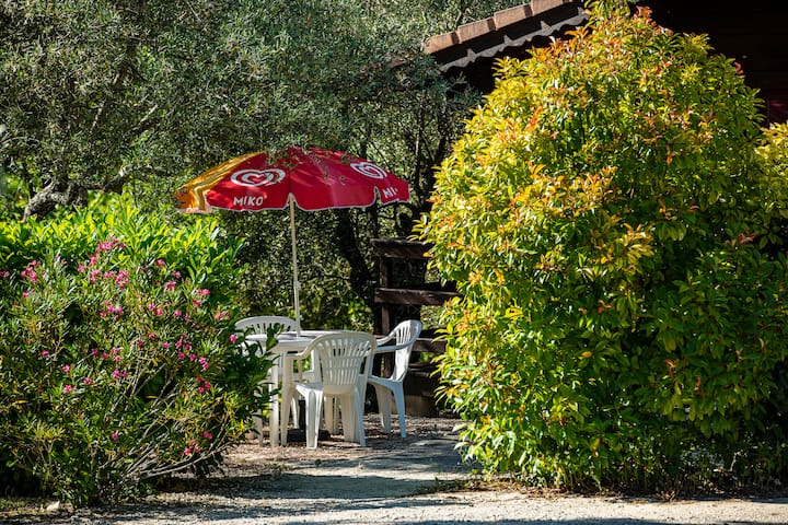 Chalets Dans La Nature Au Porte De L Ardèche - Saint-Jean-de-Maruéjols-et-Avéjan
