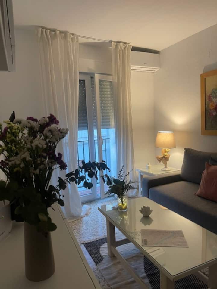 La Campana Apartment Seville - Sevilla