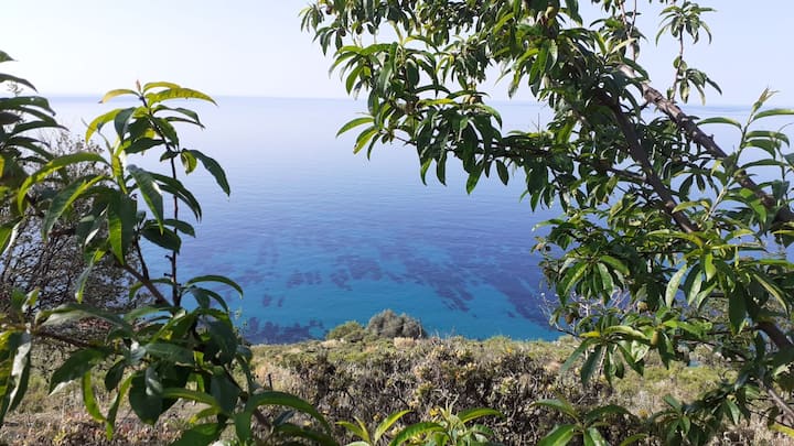 Zagara Blu - Ventimiglia