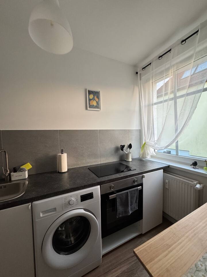 Eine Geräumige Monteurwohnung - Merseburg