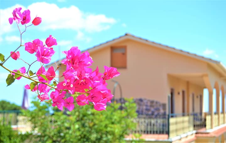 I Tre Pini: Nature, Comfort And Relax - Massa Lubrense