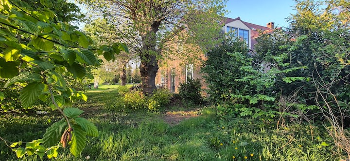 Molenzicht (30m2 Kamer + Luxe Ensuite Badkamer) - Wijchen