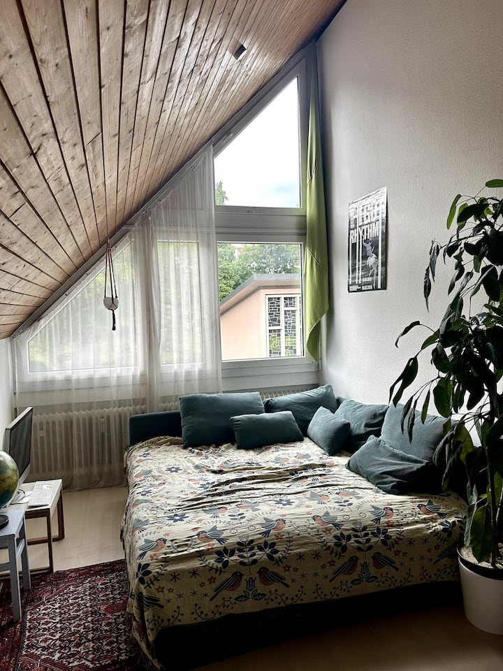 Lichter Großer Raum Mit Balkon - Stuttgart