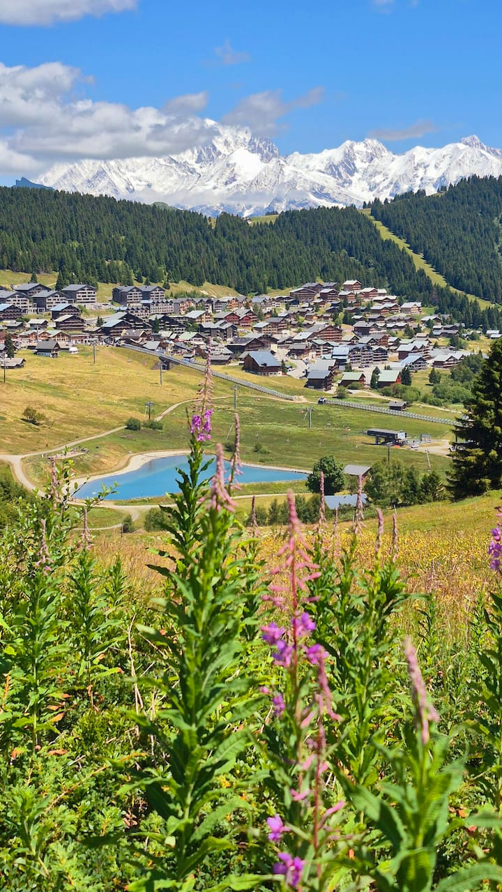 Appartement Lumineux  à 100m Des Pistes Et Esf - Areches Beaufort