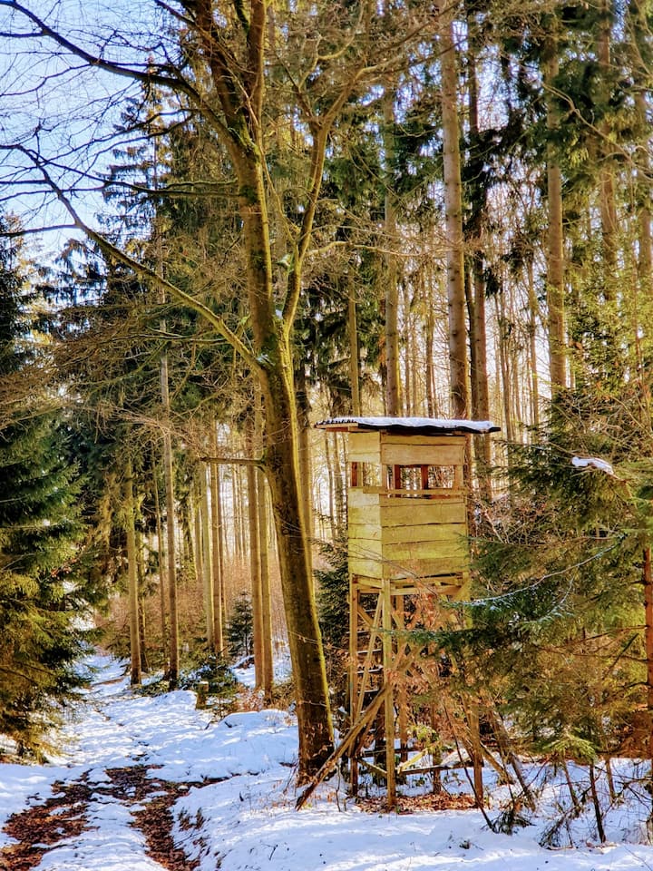 Das Turmzimmer Am Bergsee - Uslar