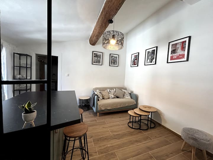 T2 Rénové De Charme Dans Rue Emblématique De Mtp - Montpellier