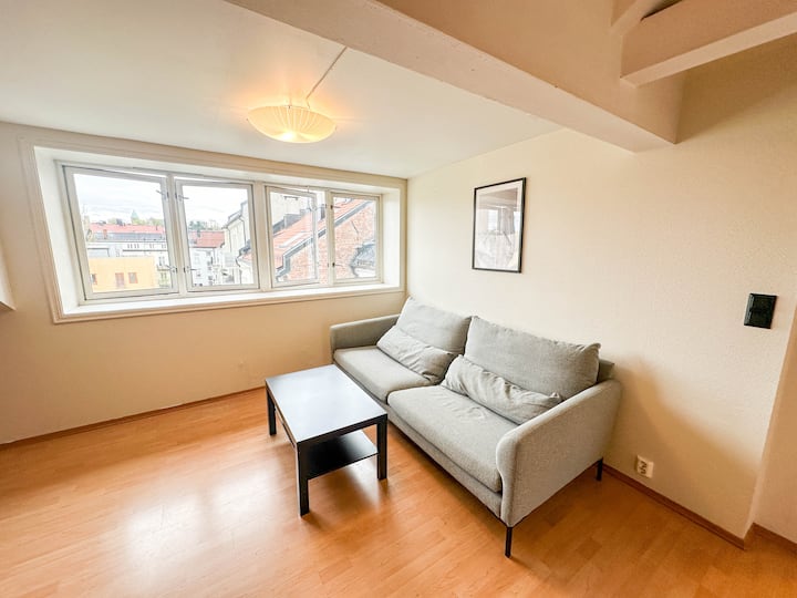 Grünerløkka, Central Oslo - Oslo