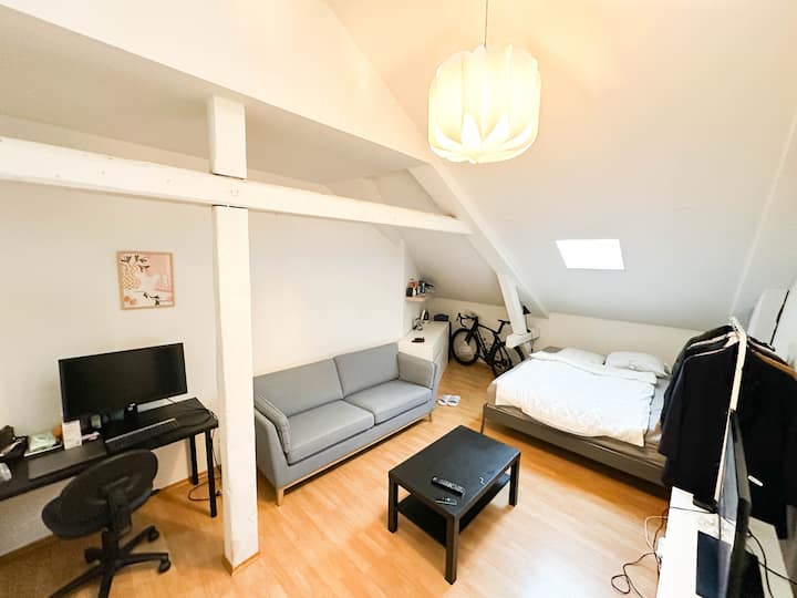 Big Room For 2 Persons Near City Center - Oslo