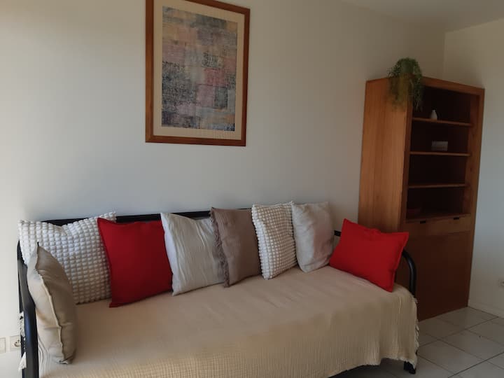 Appartement Avec Vue Sur L'océan - Mimizan-Plage