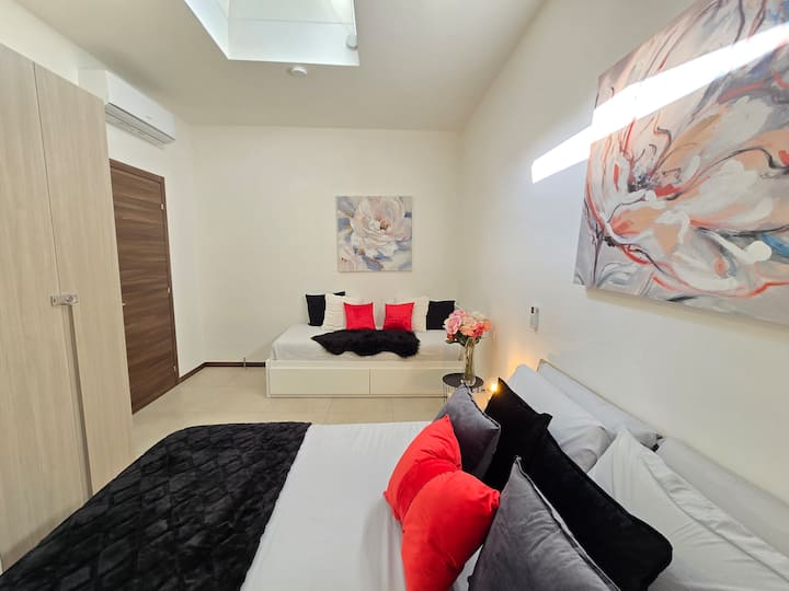 Suite 5 Stelle Stazione M Dante- Parking Privato - Turin