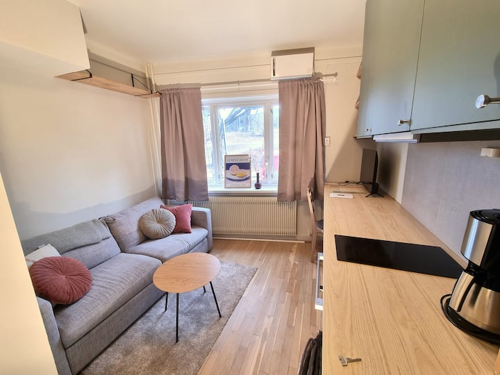 Cute Apartment In Central Oslo - Oslo