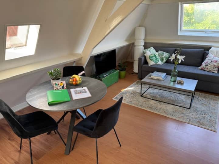 Stijlvol Loft Zeeheldenkwartier - Scheveningen