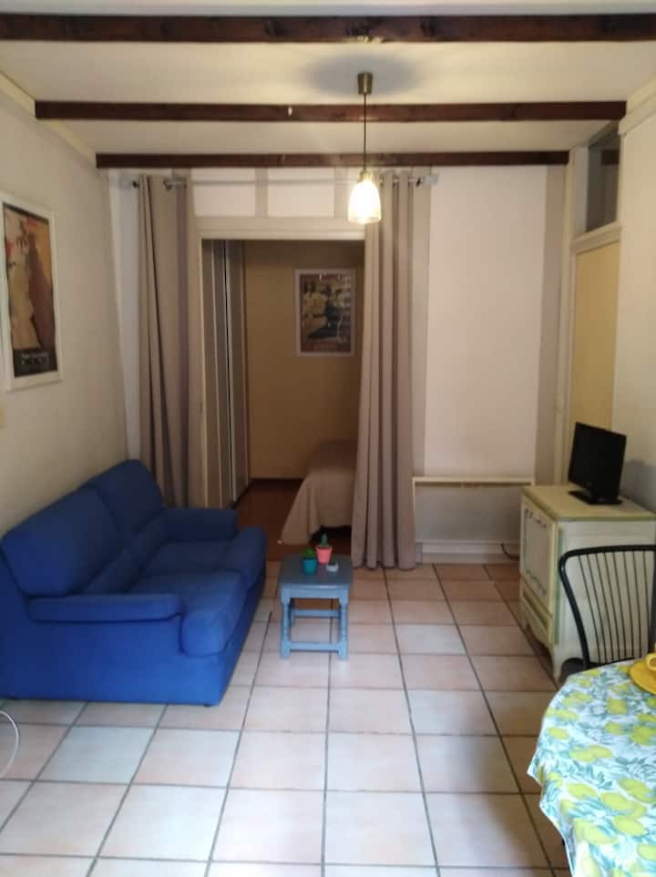 Le Grand Studio De Lalbigeois Wifi - Albí