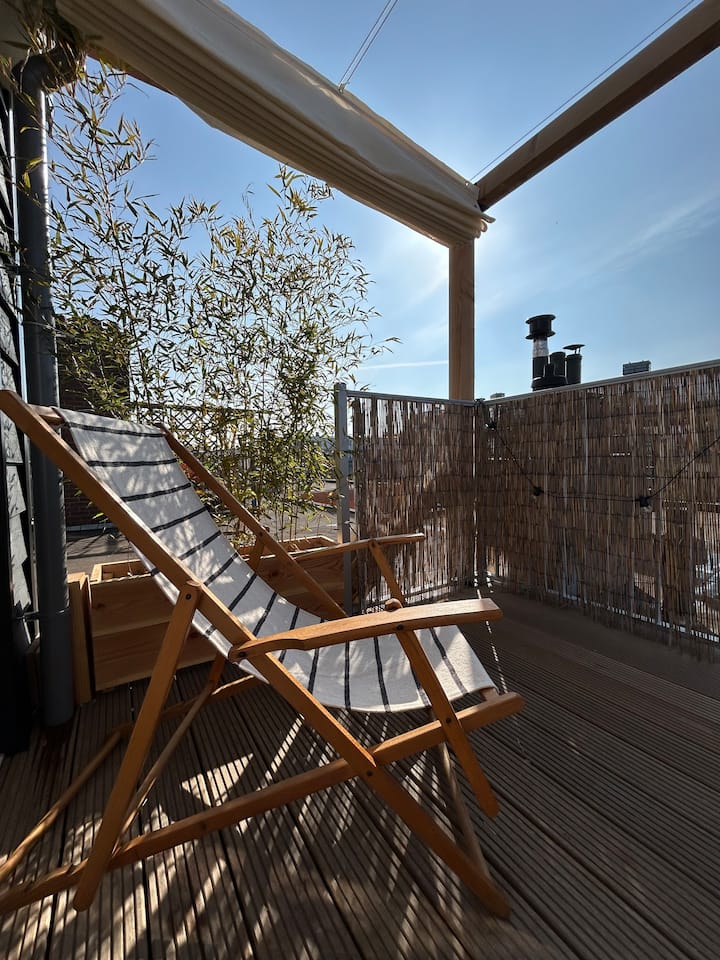 Sunny Modern Penthouse With Terrace - Amsterdam