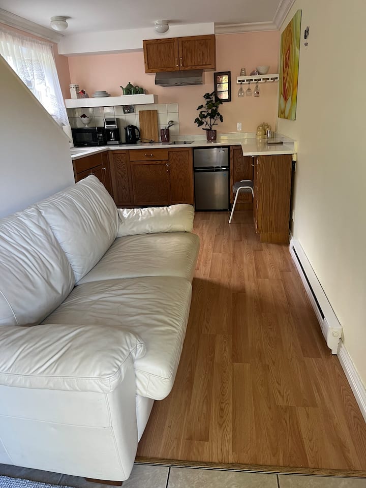 1 Bedroom Bachelor Suite - Surrey