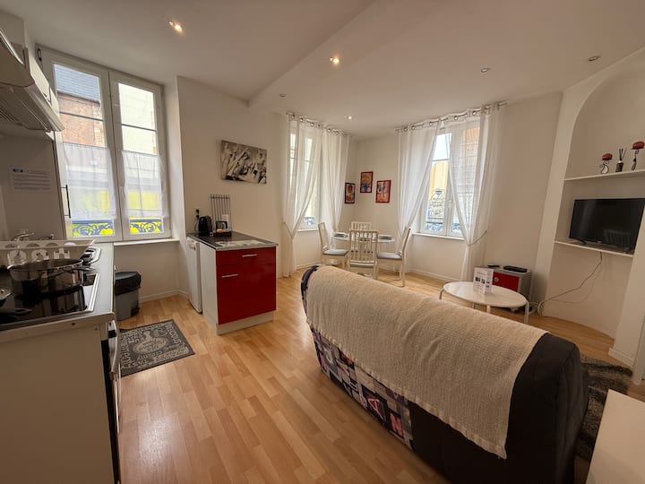Escale Belfortaine-spacieux-résidence Privée - Belfort