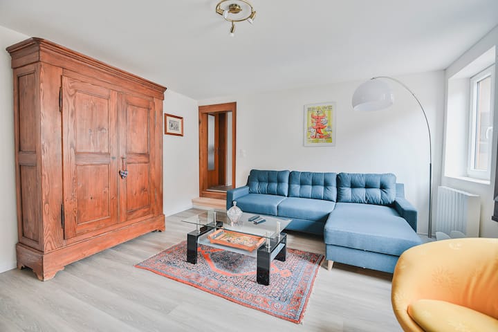 Appartement Django Parking Privatif &Animaux Admis - Dambach-la-ville