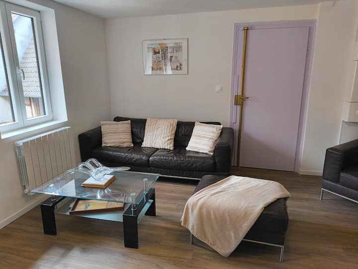 Appartement Daisy Parking Privatif & Animaux Admis - Châtenois