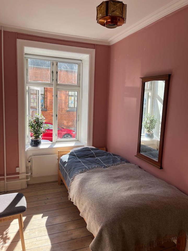 Roligt Enpersons Værelse På Frederiksberg - コペンハーゲン