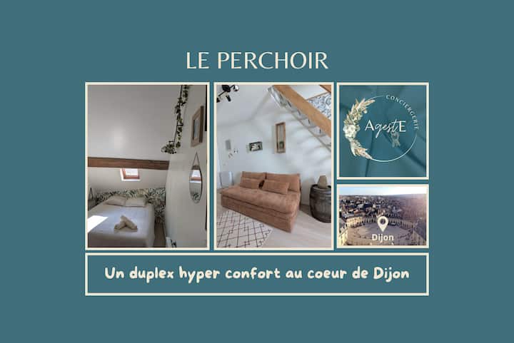 Le Perchoir, Hypercentre, Unique - Dijon
