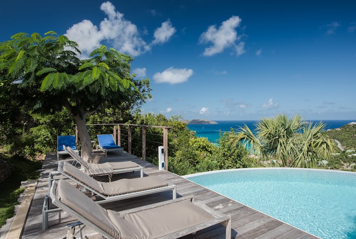 Lataniers - Eden Rock - Saint Barthélemy