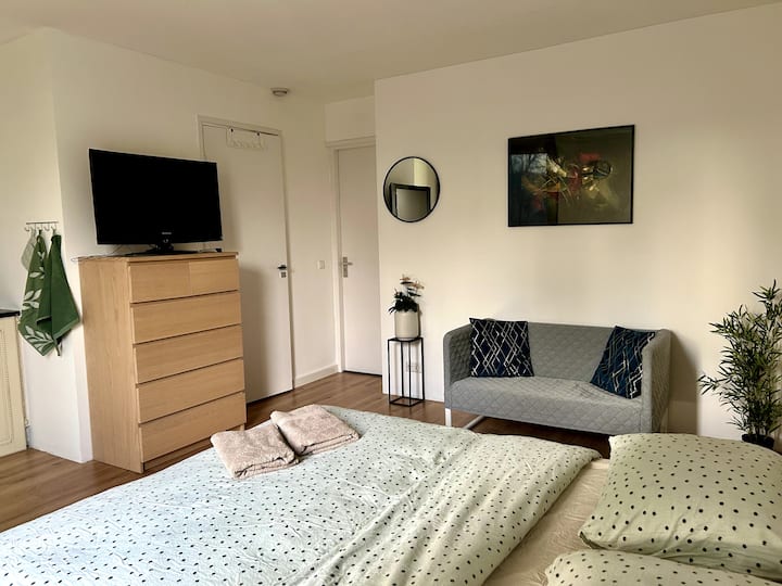 Private Studio Near Amsterdam - Zaandam