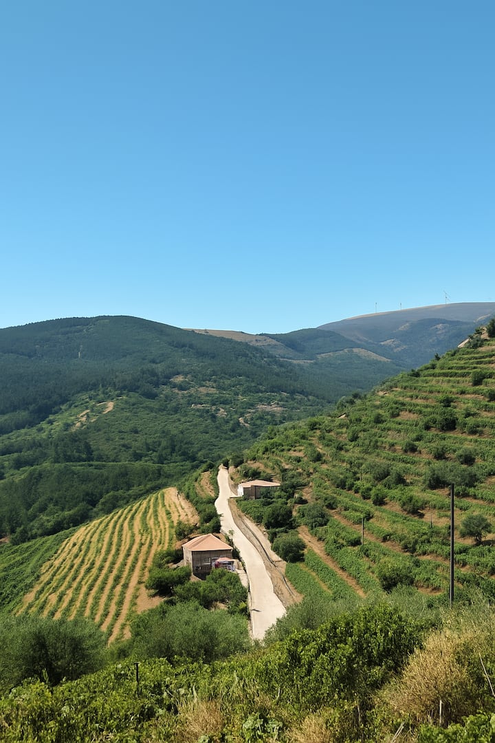 Casa De Campo Do Rojão Do Meio - Mesão Frio