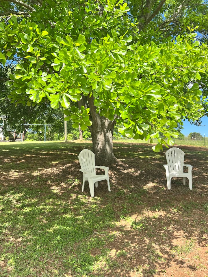 Friendly Farmy Home - Greer, SC