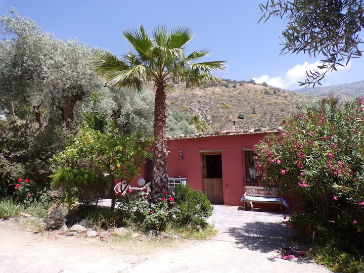 Los Olivos Viejos - Órgiva