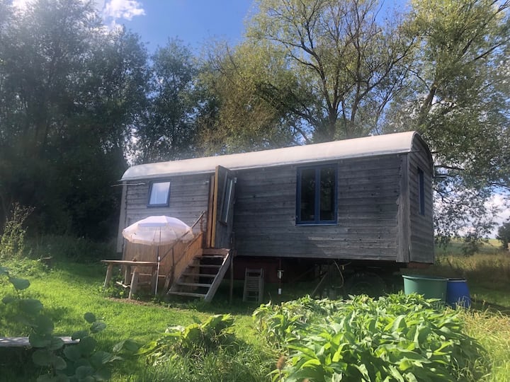 Chariots De Cirque Sur La Mer Baltique - Grevesmühlen