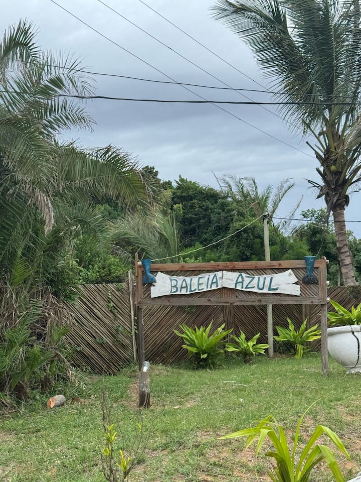 Ponta Mamoli 
Baleia Azul - Mozambique