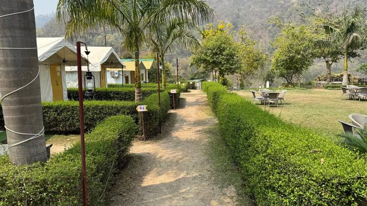 Wild Vista Marchula/ Deluxe Room - Jim Corbett National Park