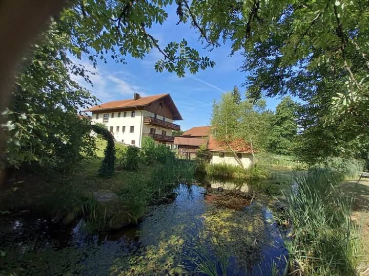 Ferienwohnung Schmid Mit Balkon (Waldkirchen) - Hauzenberg