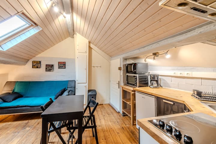 Studio Plein Centre D’évian - Proche Embarcadère - Évian-les-Bains