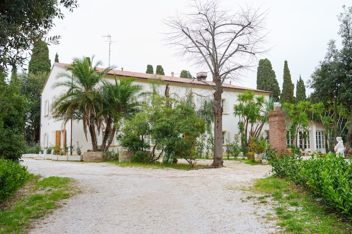 Camera Desiderio - Cecina