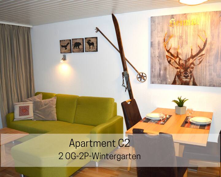 Ferienhausalbmatte-20mi Vom Feldberg-sauna Im Haus - Hinterzarten
