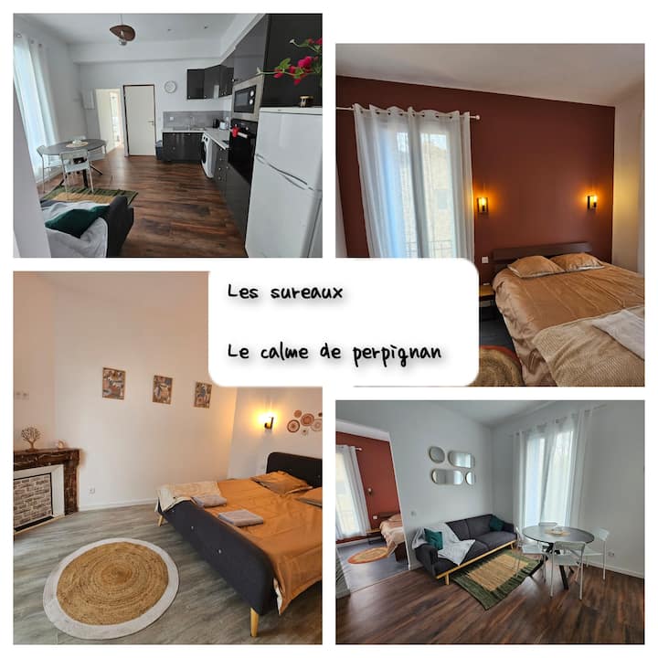 Les Sureaux, Le Calme Du Centre De Perpignan - Perpignan