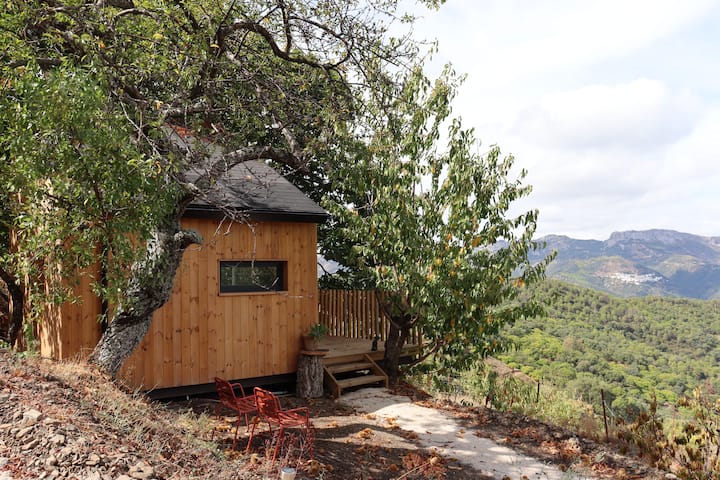 Cabañas Entre Castaños: Oropéndola - Algatocín
