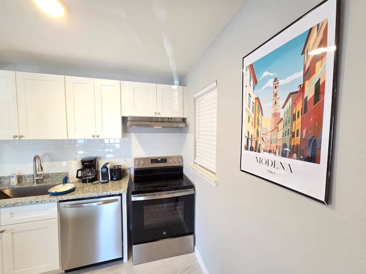 Luxury 1 Bd Montrose-modena@the Italian Plaza Apt3 - NRG Stadium - Houston