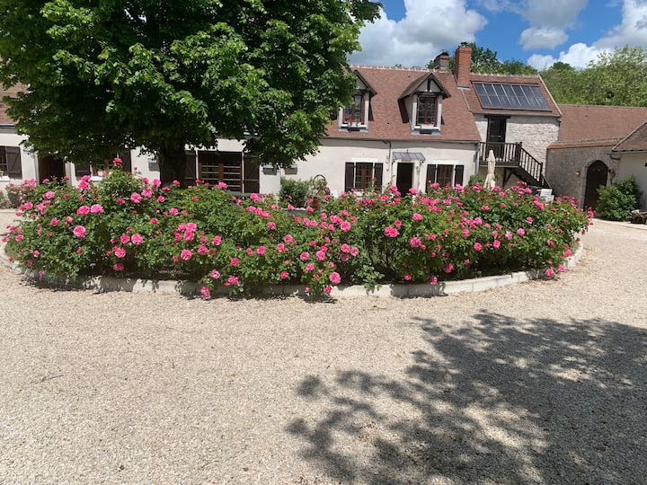 Chambre - Meung-sur-Loire