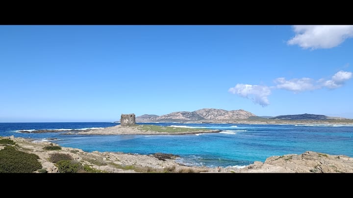 Sailor's House Stintino - Stintino