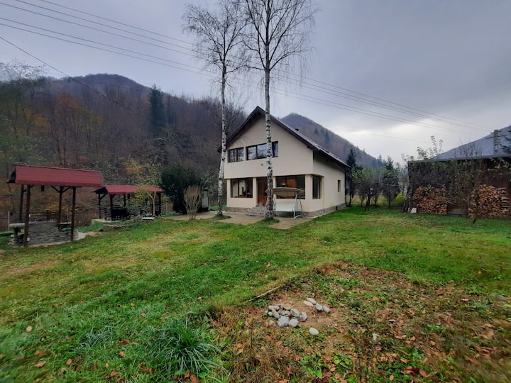 Riverside Retreat: Cozy Cabin Surrounded By Nature - Valea Ierii