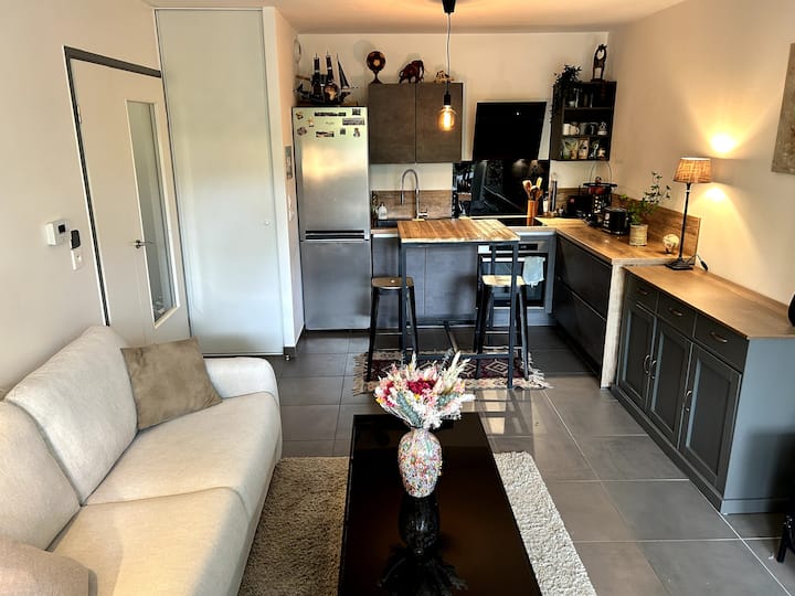 Appartement Moderne Avec Jardin - Saint-Genis-Pouilly