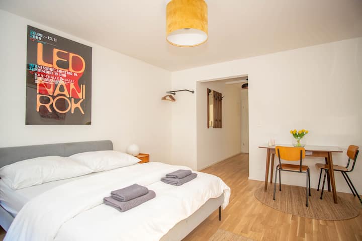 Central Studio Apartment With Free Baselcard - Basel