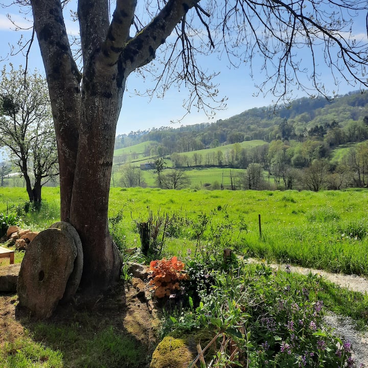La Casina Del Pintor - Nava