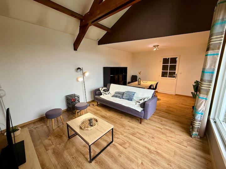 Appartement 3 Chambres - Lille Fives - Lille