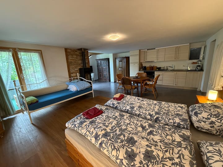 Wohnung Mit Cheminée Im Herzen Von Berner Oberland - Frutigen